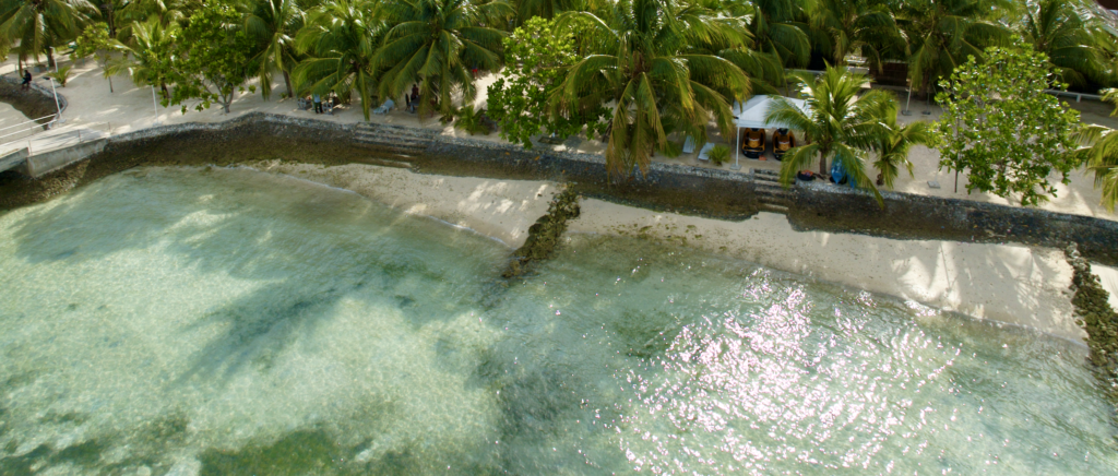 Hof Gorei Micro Diving in the Philippines - Hof Gorei Beach Resort