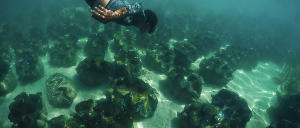 Hof Gorei Micro Diving in the Philippines - Hof Gorei Beach Resort